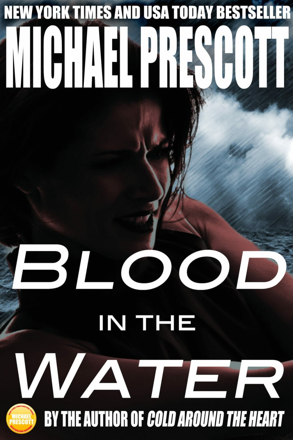 Michael Prescott says Hurricane Sandy influenced his writing - Terry ...