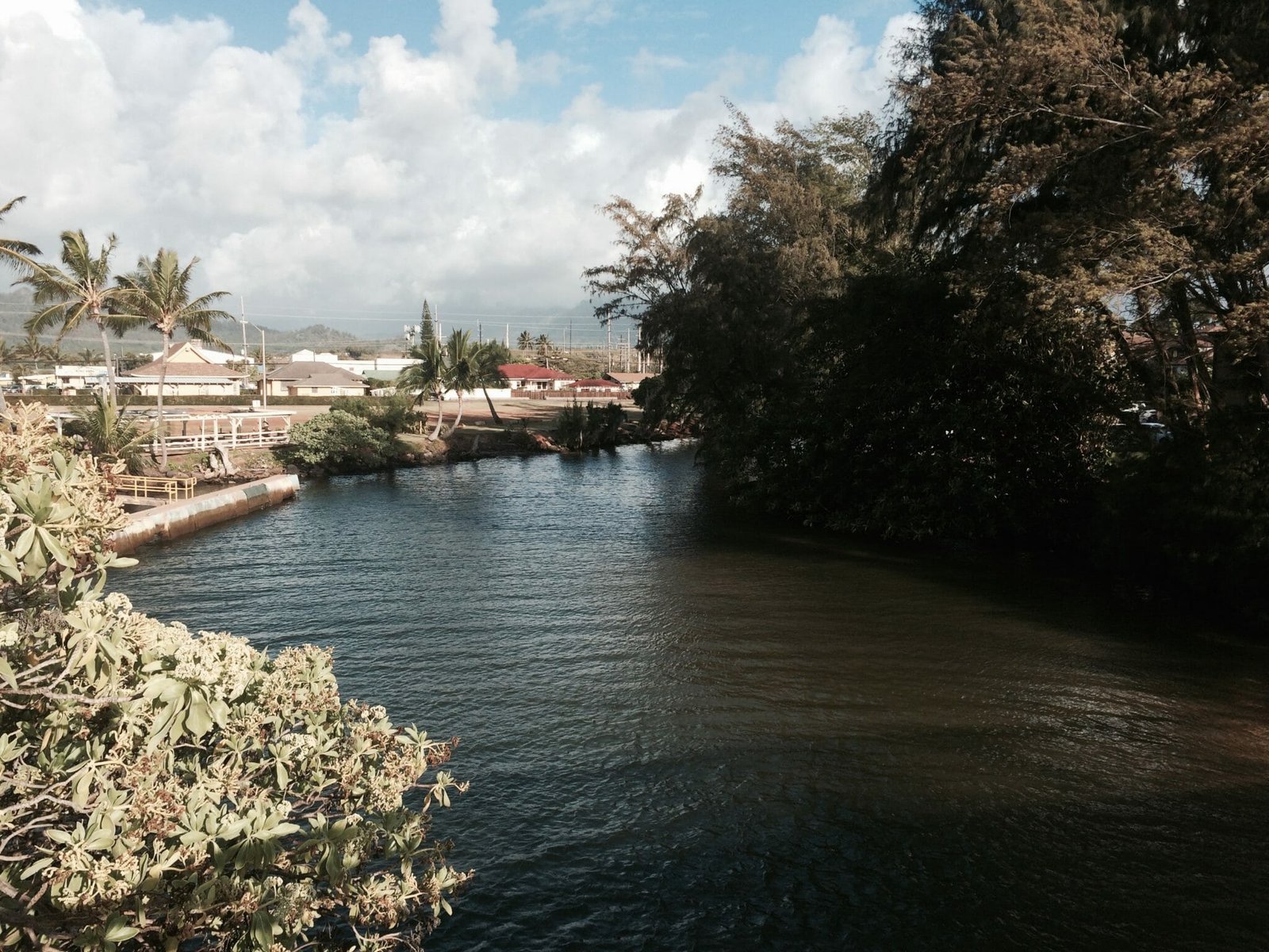 Kapaa photos along the mixed-use walking path