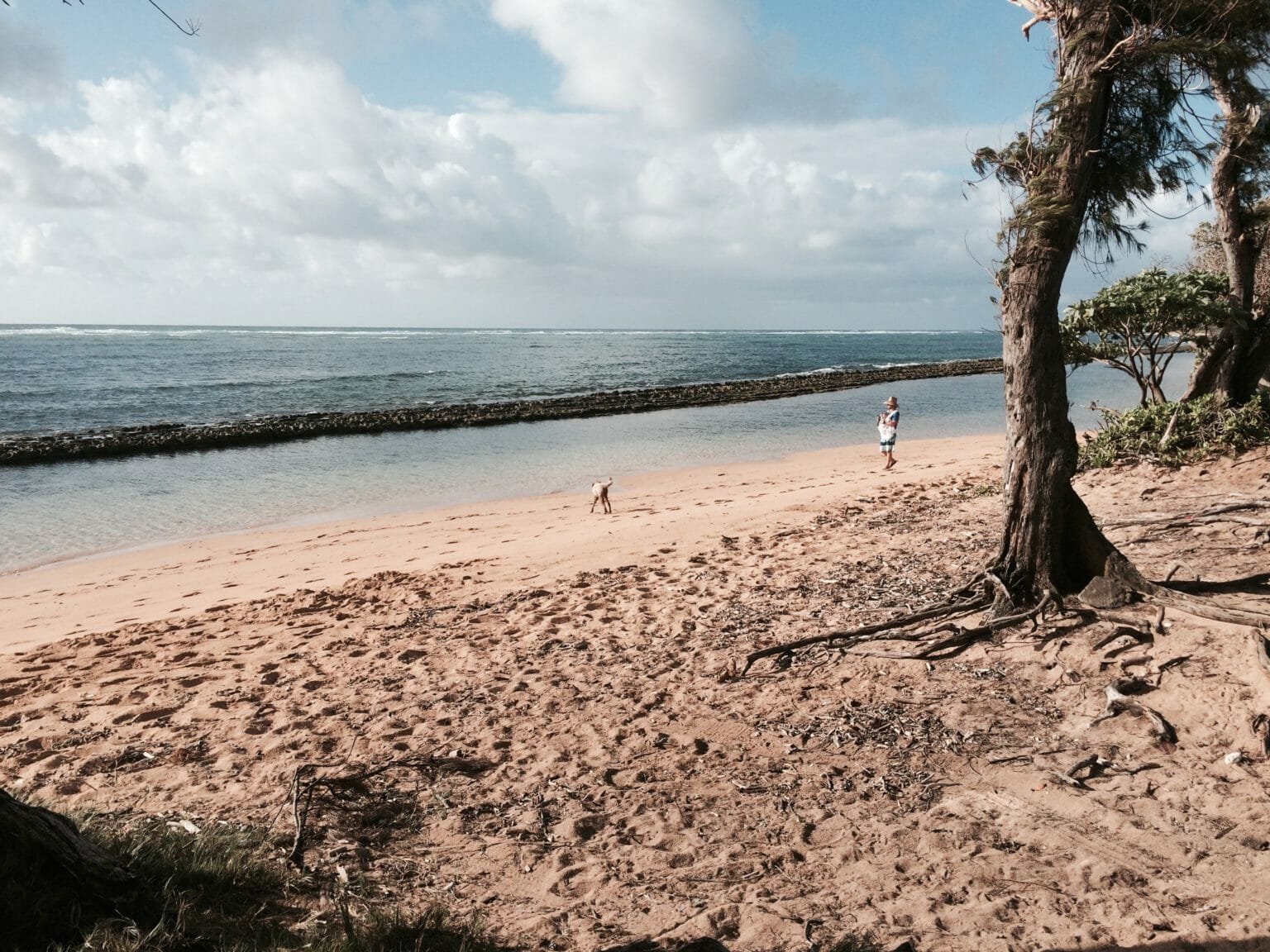 Kapaa photos along the mixed-use walking path