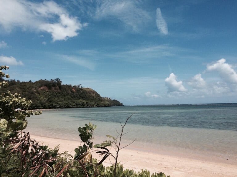 Friday Fotos - a walk along Anini Beach Road