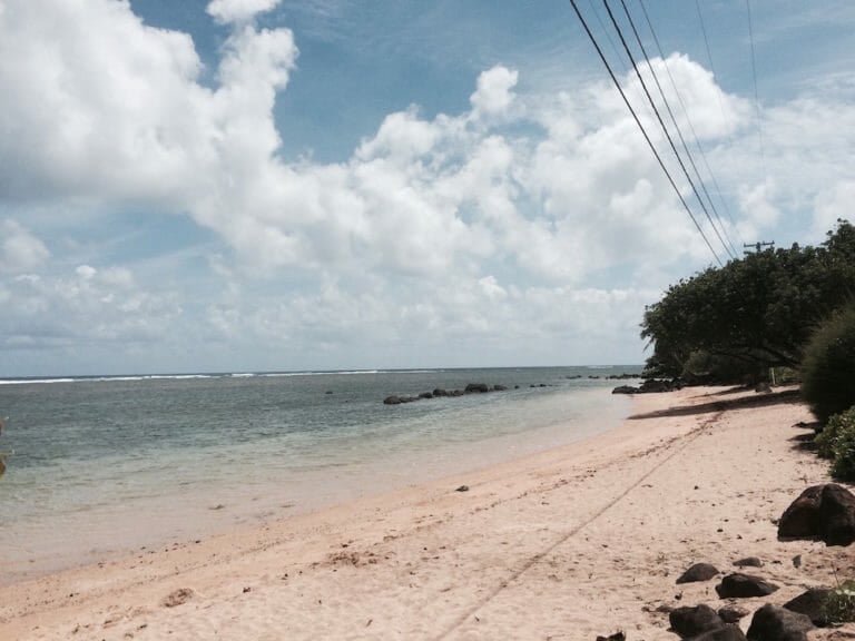 Friday Fotos - a walk along Anini Beach Road