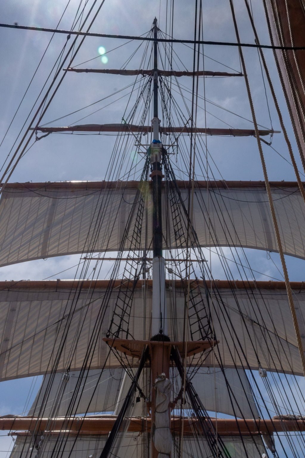 Life on the high seas - looking back in time