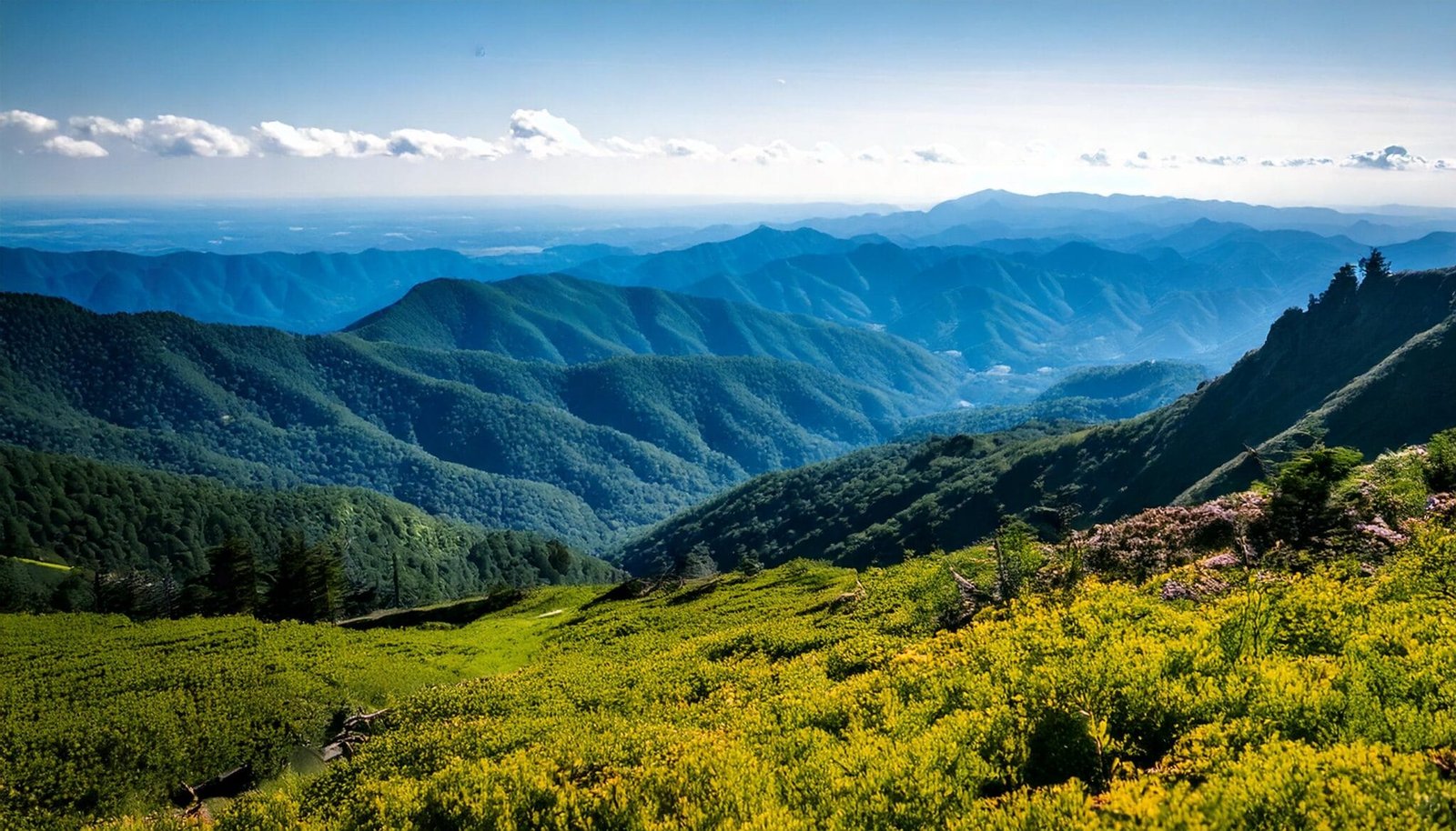 Home - Terry Ambrose