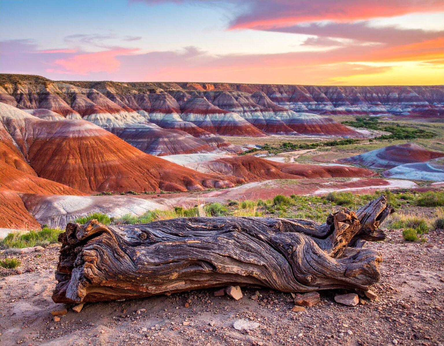 Home - Terry Ambrose