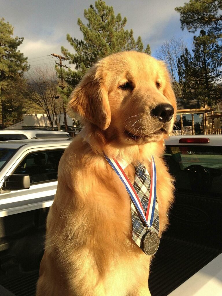 Mayor Max — The Doggone Delightful Idyllwild Mayor - Terry Ambrose