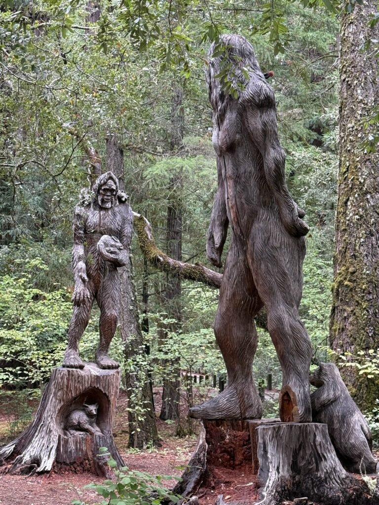 Tree Tunnel Terror — Driving Through a Giant Redwood - Terry Ambrose